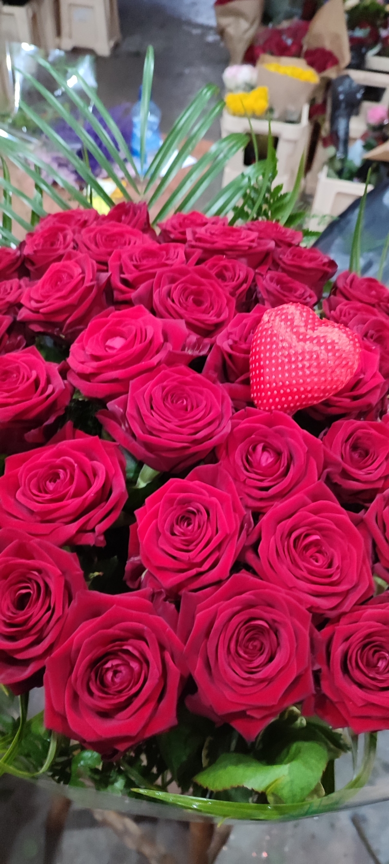 12 Luxury Red Roses – buy online or call 043 33 45074